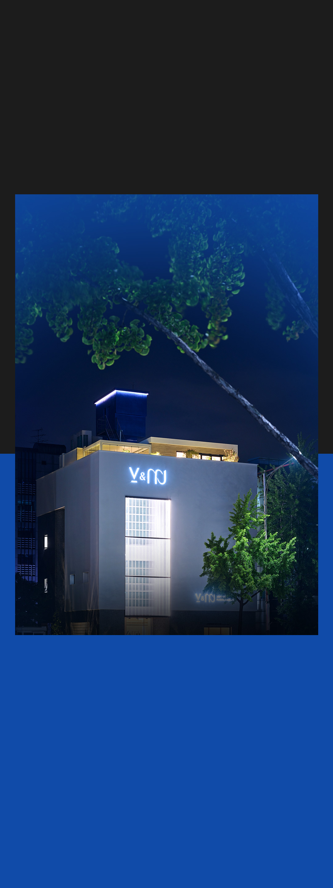 v plastic surgery daegu